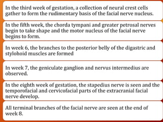 Facial nerve | PPTX