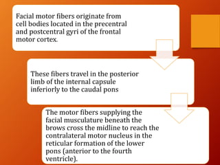 Facial nerve | PPTX