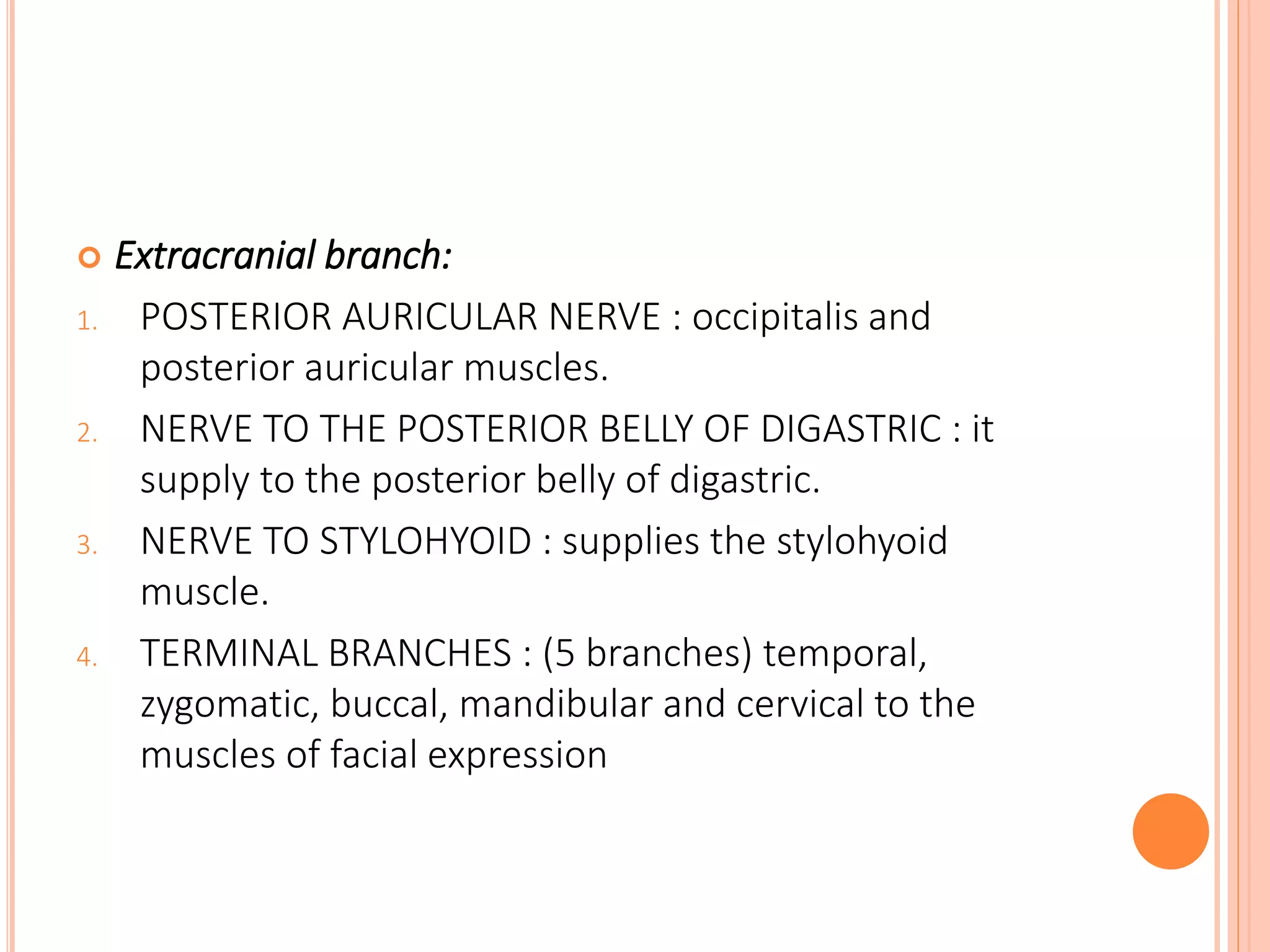 Facial nerve | PPTX