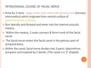 Facial nerve | PPTX