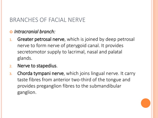 Facial nerve | PPT