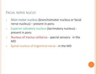 Facial nerve | PPTX