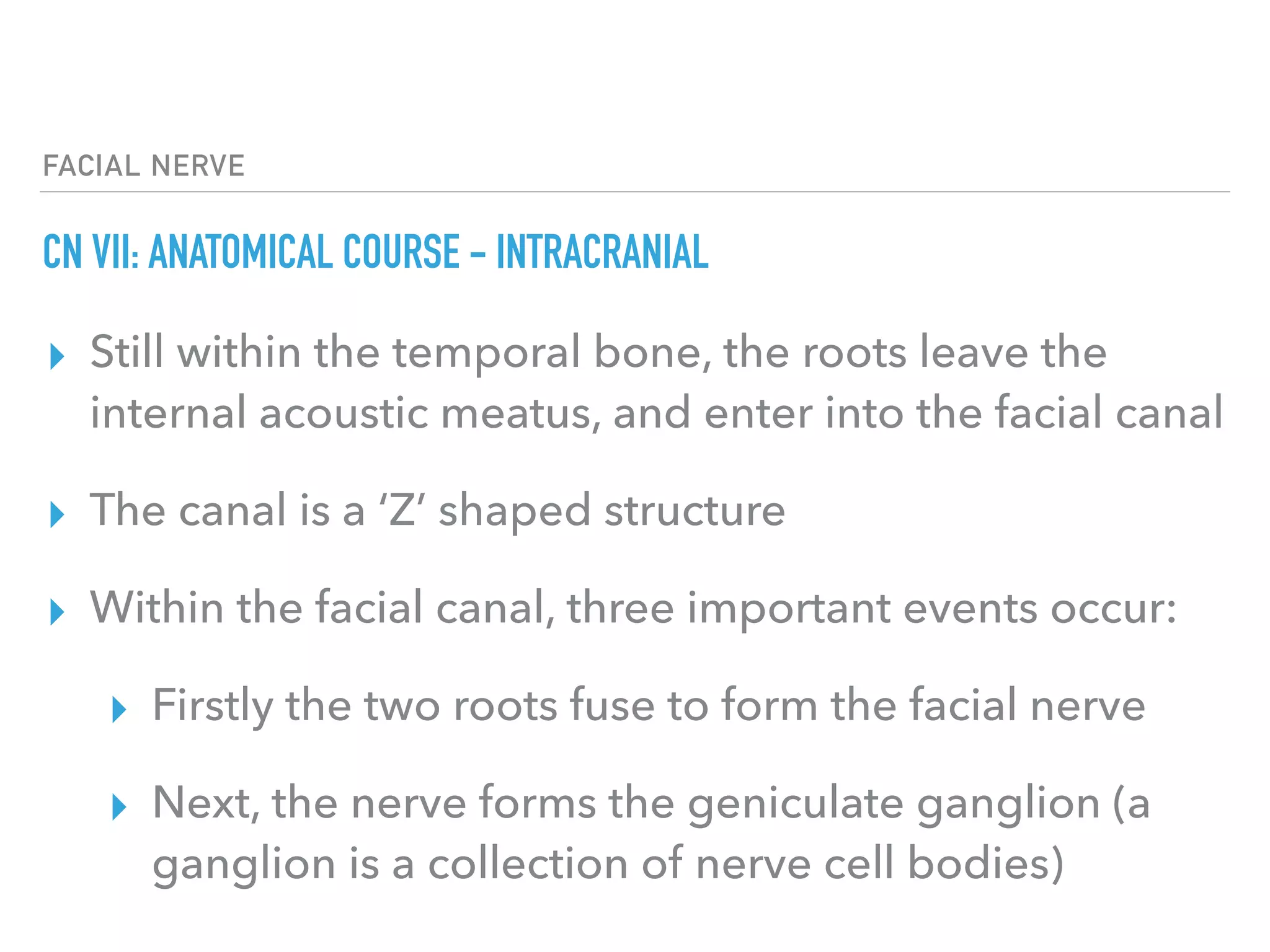 Facial nerve | PDF