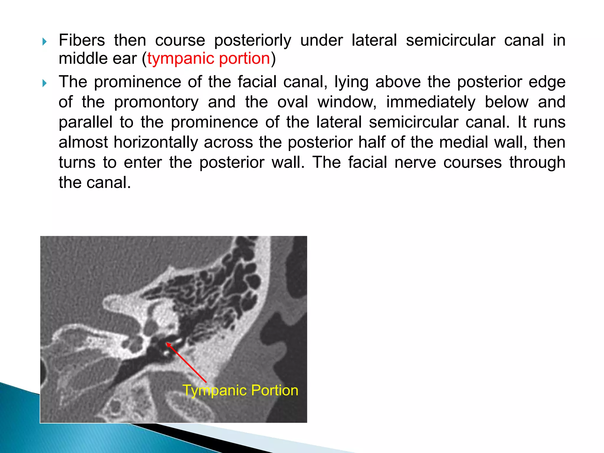 Facial nerve | PPT