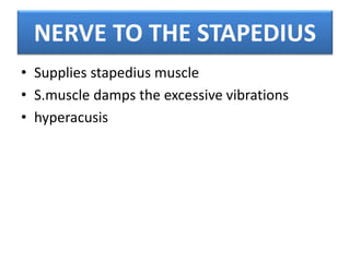 Facial nerve and implications in endodontics | PPTX