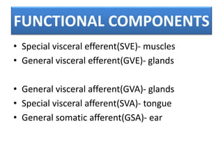 Facial nerve and implications in endodontics | PPTX