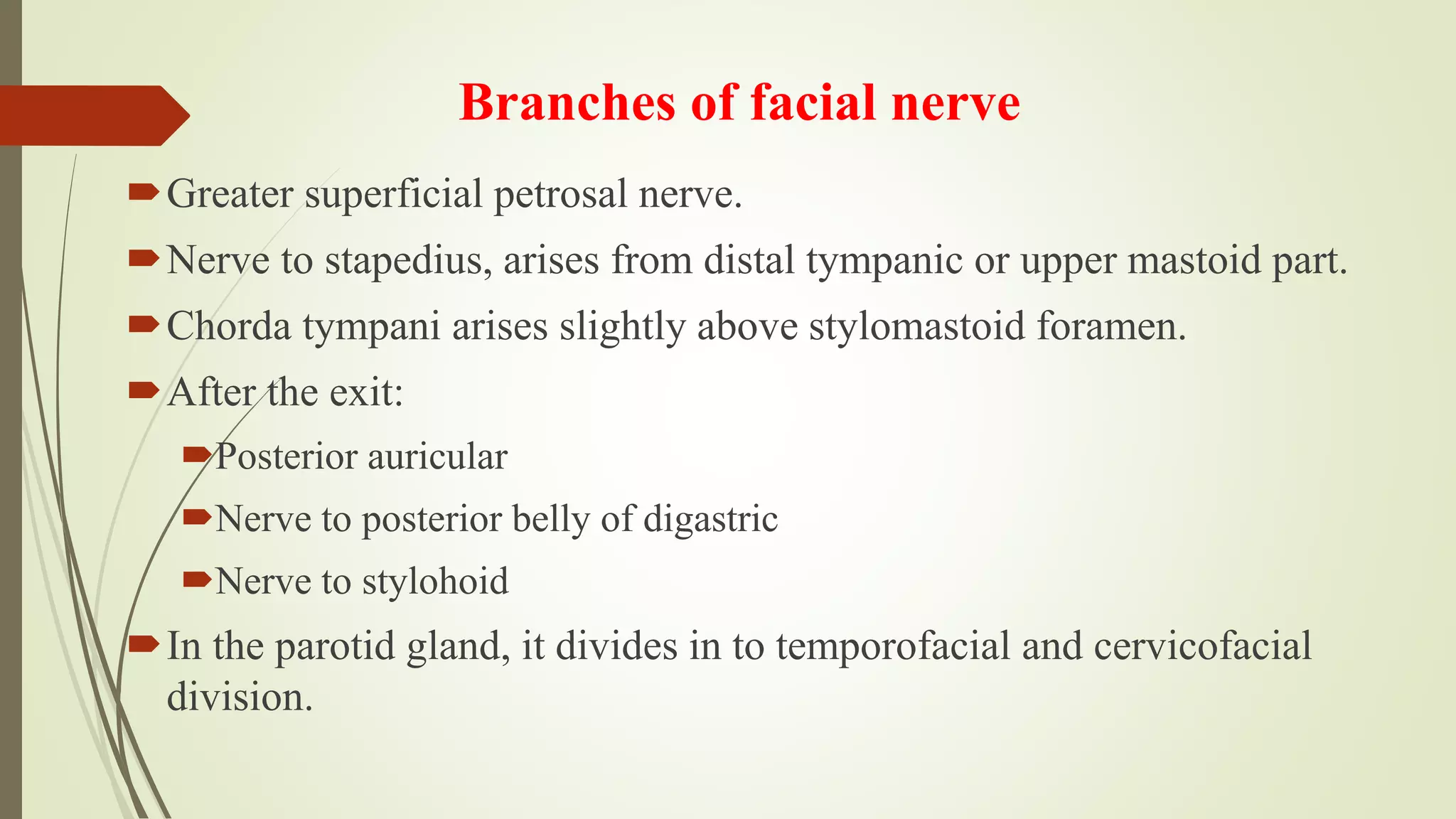 Facial nerve | PPTX