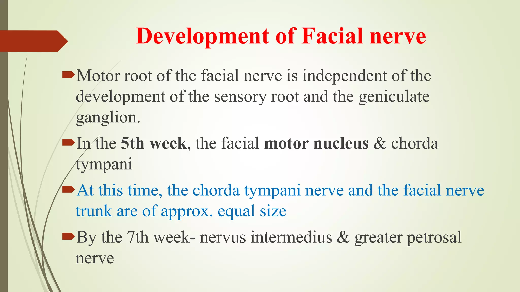 Facial nerve | PPTX