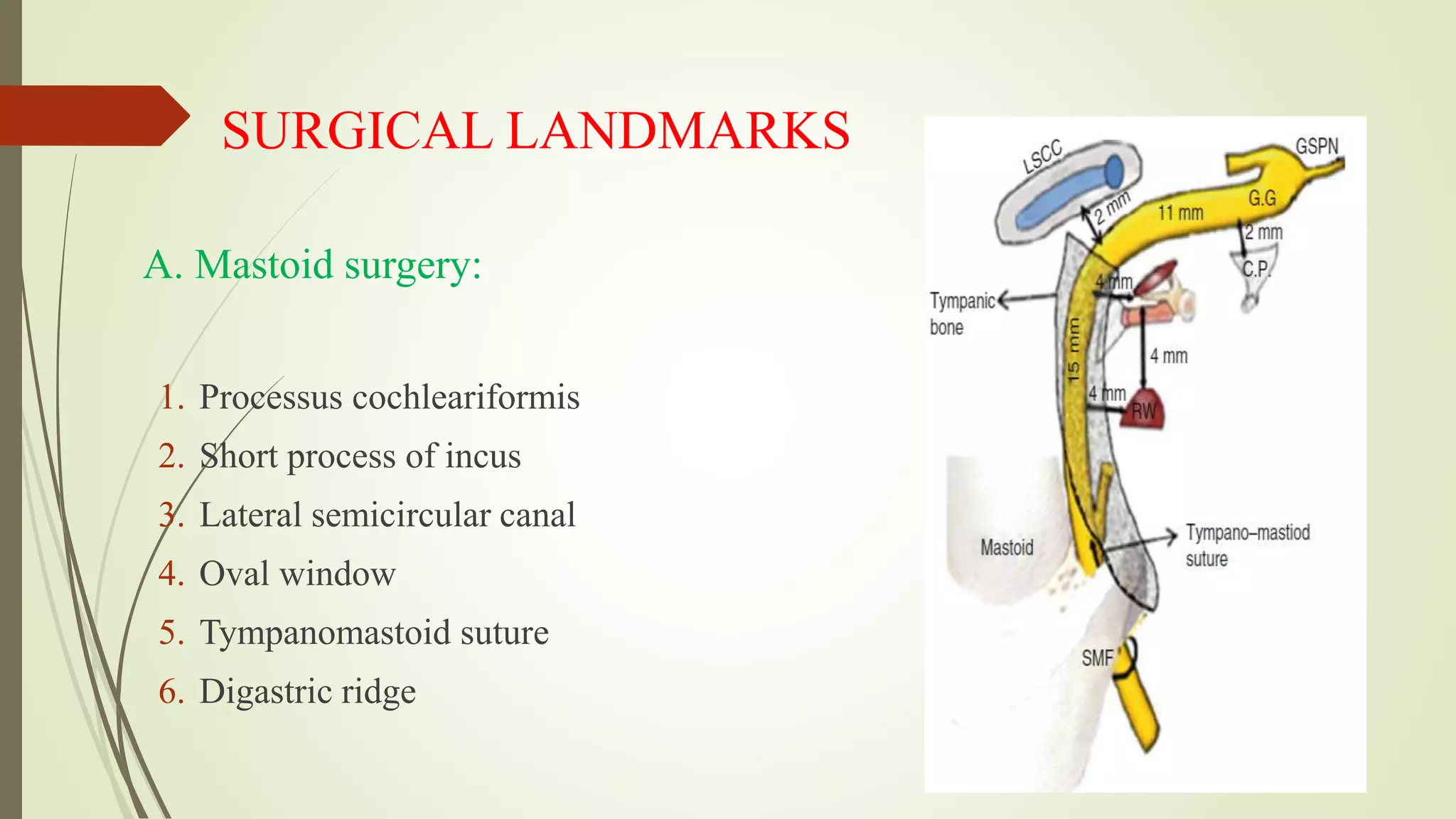 Facial nerve | PPTX
