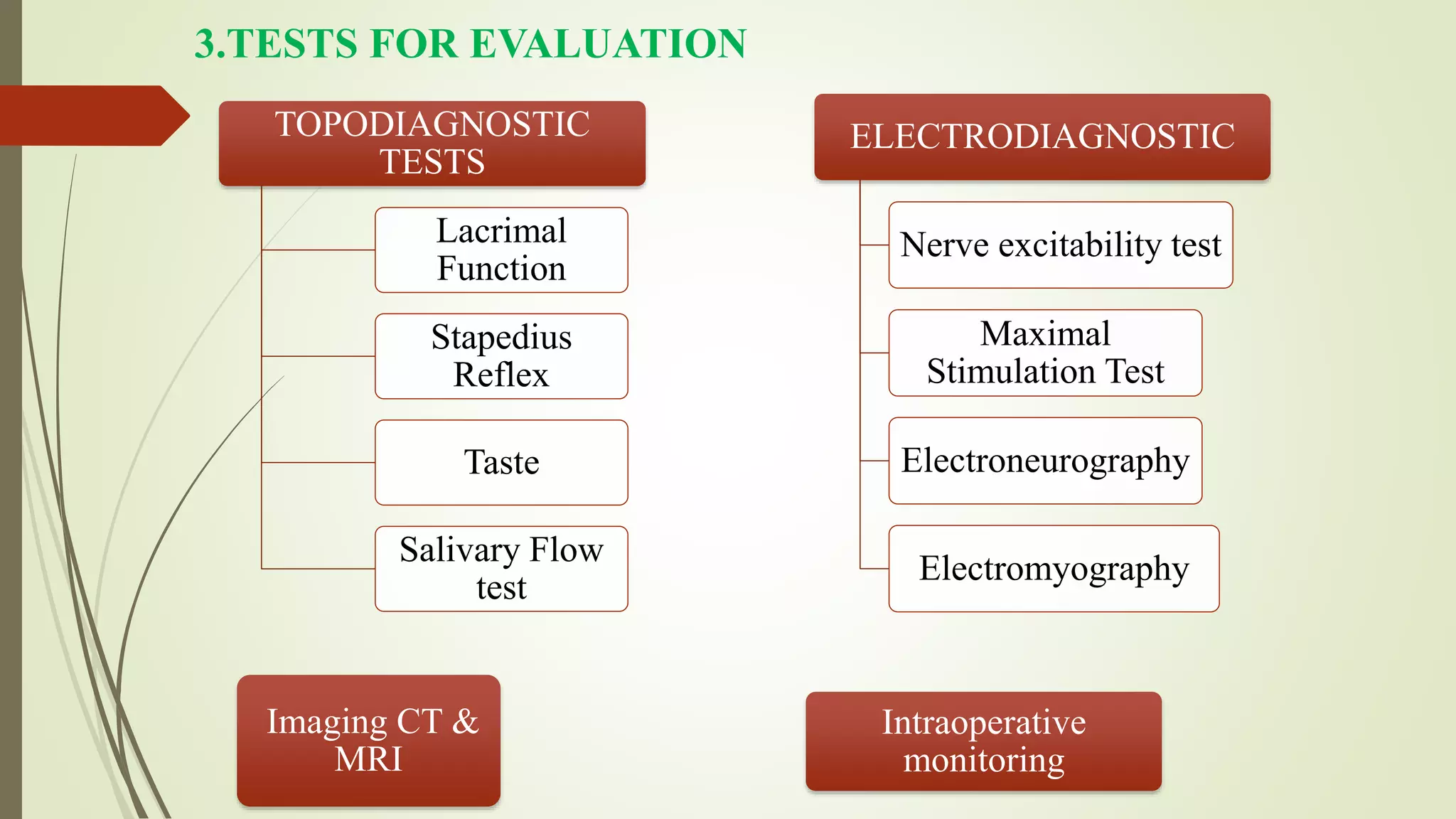 Facial nerve | PPTX