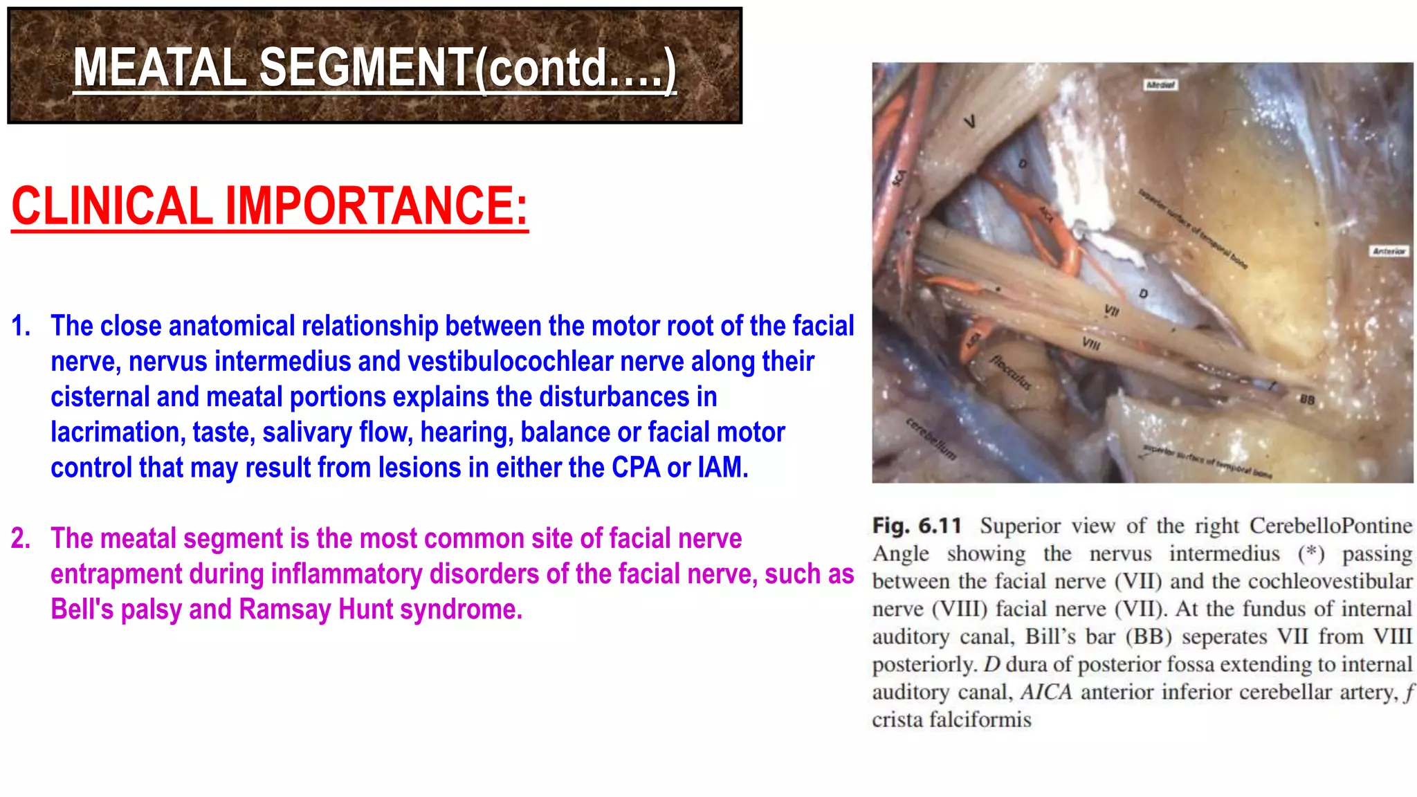 Facial nerve | PPTX