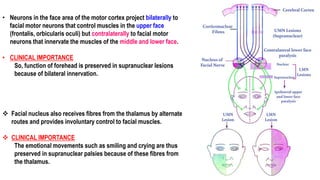 Facial nerve | PPTX