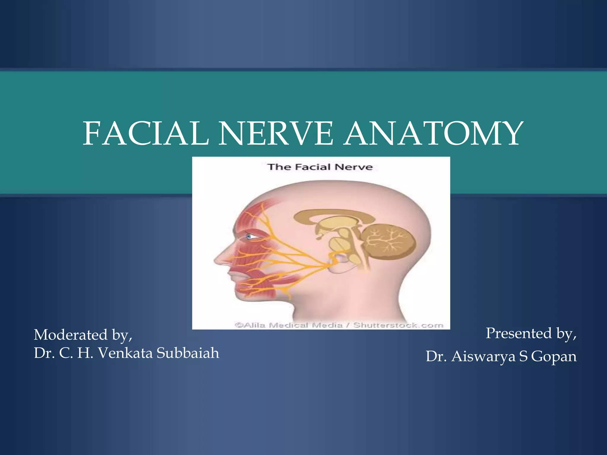 Facial nerve anatomy | PPTX