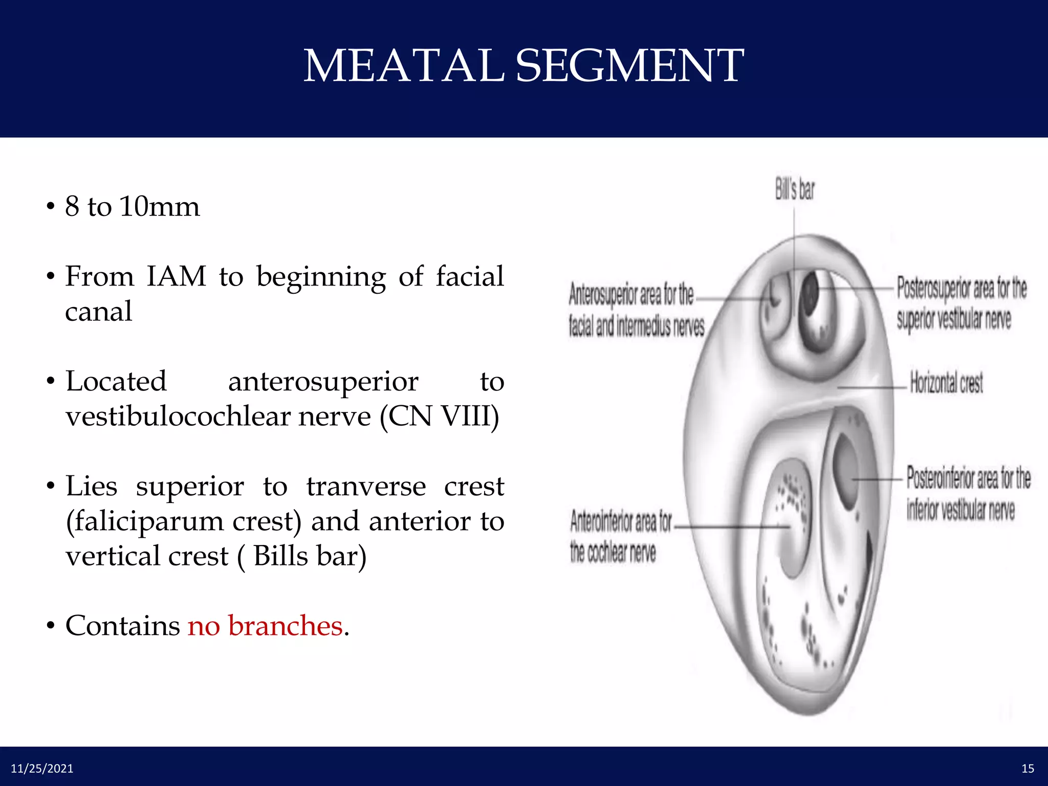 Facial nerve anatomy | PPTX
