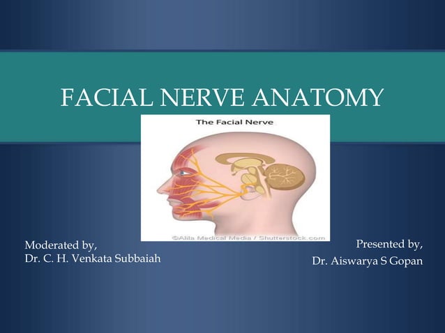 Facial nerve anatomy | PPTX | Death, Injury, or Military Conflict ...