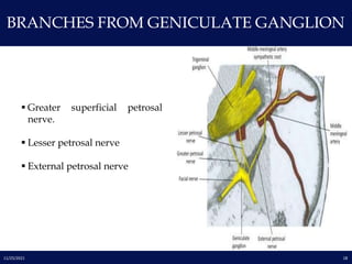 Facial nerve anatomy | PPTX