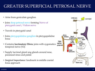 Facial nerve anatomy | PPTX