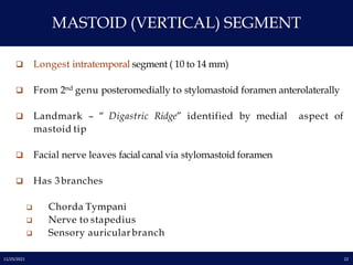 Facial nerve anatomy | PPTX