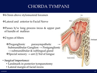 Facial nerve anatomy | PPTX
