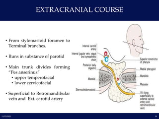 Facial nerve anatomy | PPTX