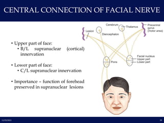 Facial nerve anatomy | PPTX