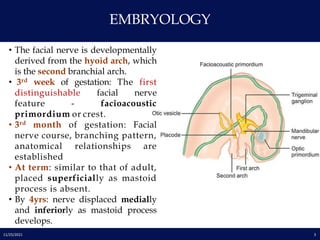 Facial nerve anatomy | PPTX