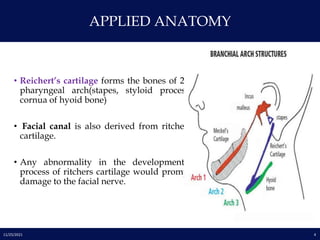 Facial nerve anatomy | PPTX