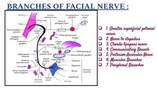 FACIAL NERVE.pdf