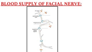 FACIAL NERVE.pdf