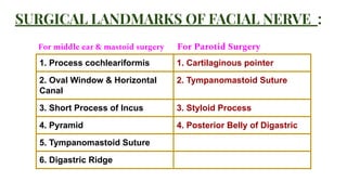 FACIAL NERVE.pdf