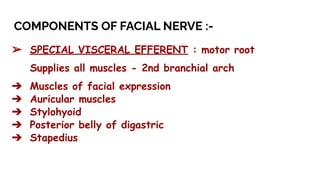 FACIAL NERVE.pdf