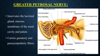 Facial Nerve.pptx
