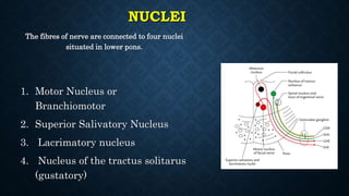 Facial Nerve.pptx
