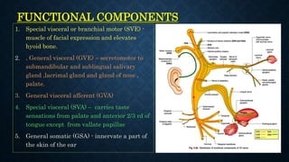 Facial Nerve.pptx