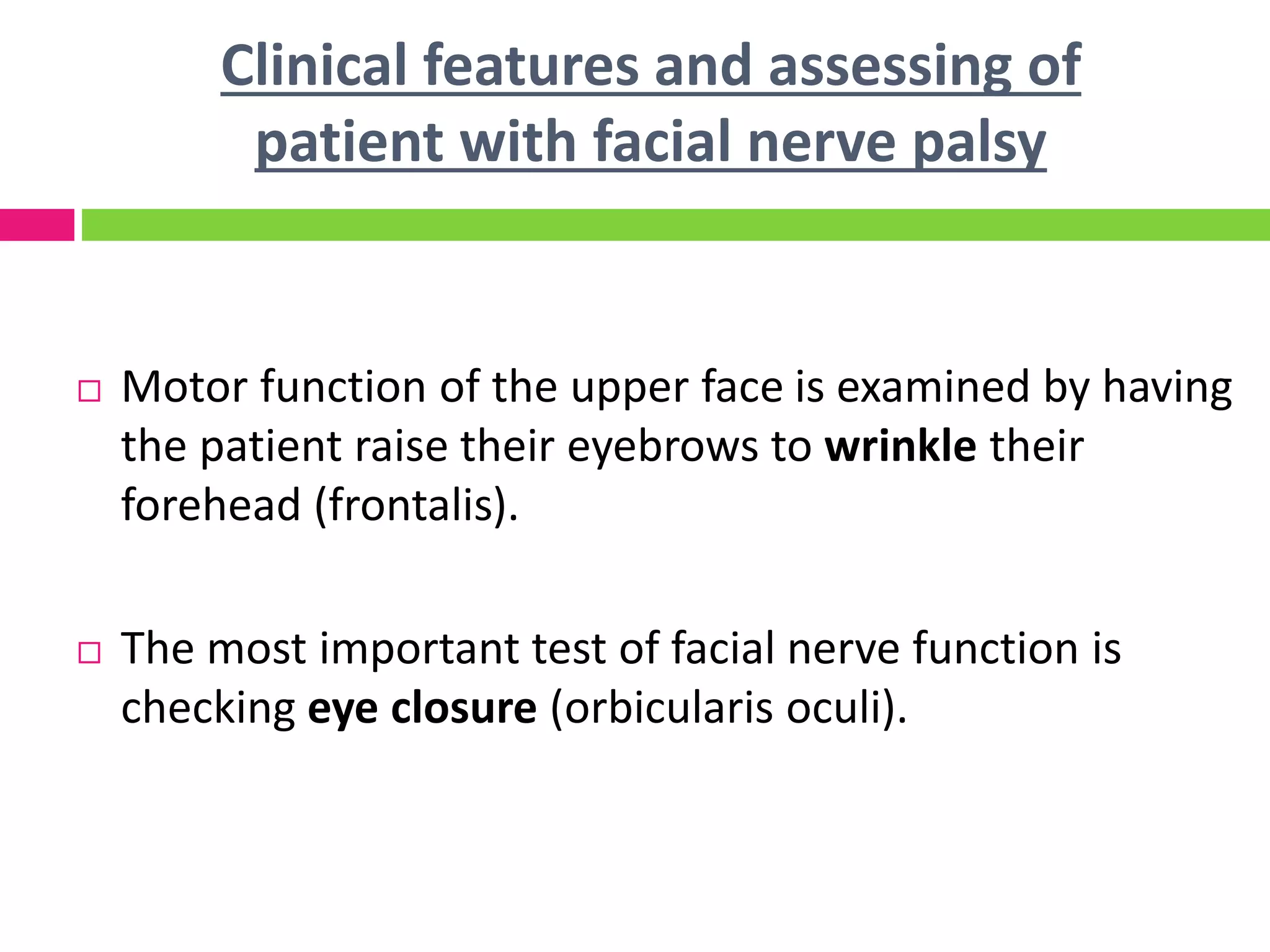 FACIAL NERVE.pptx