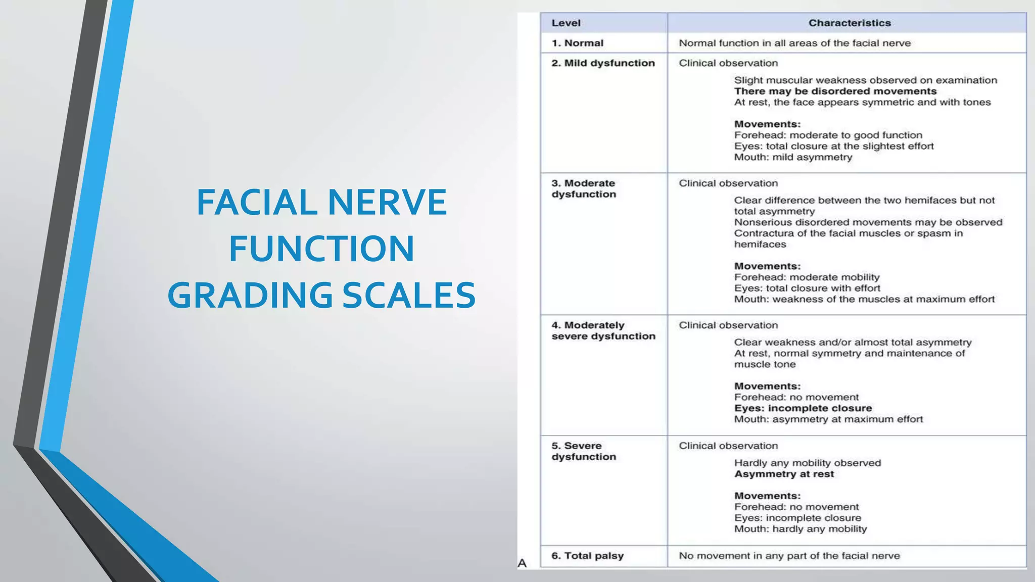 FACIAL NERVE.pptx