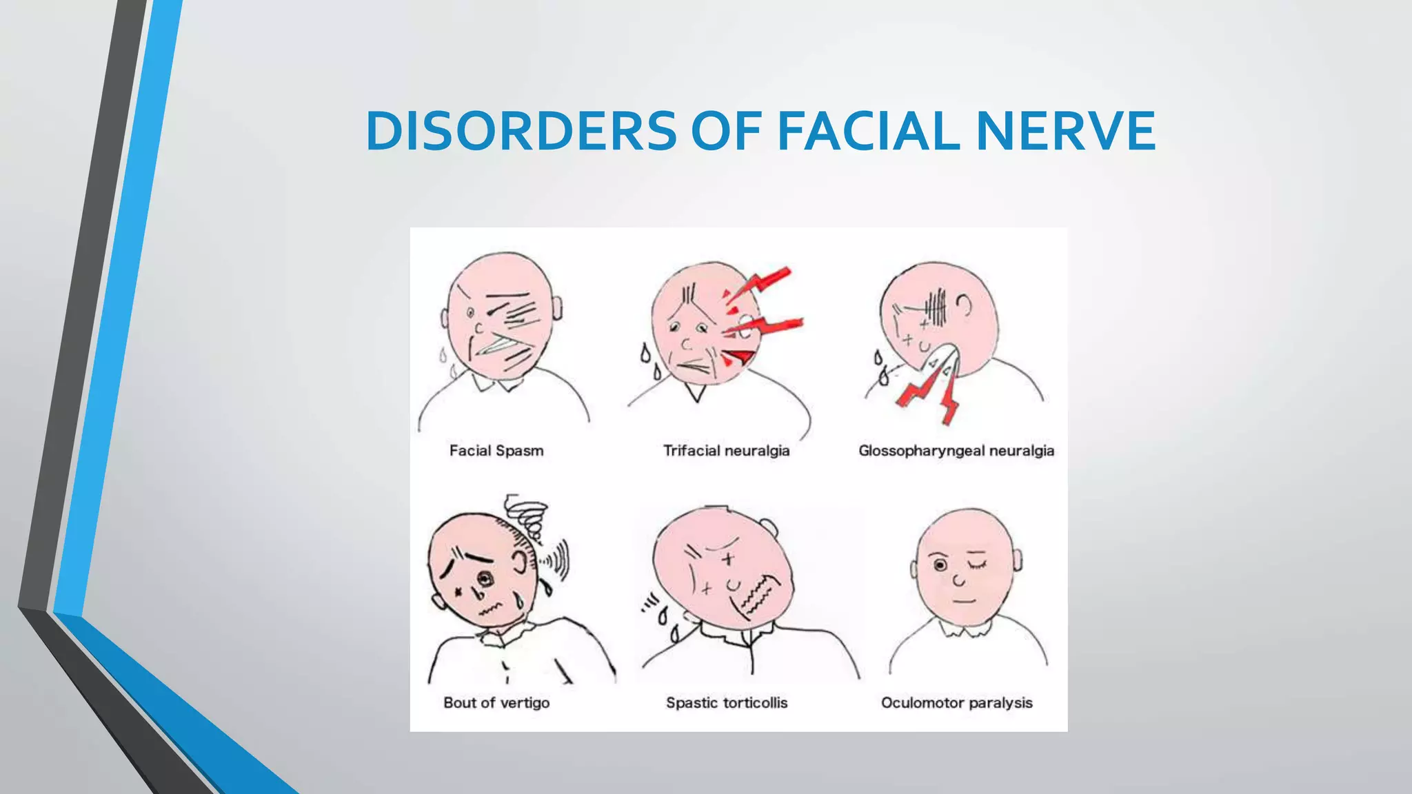 FACIAL NERVE.pptx