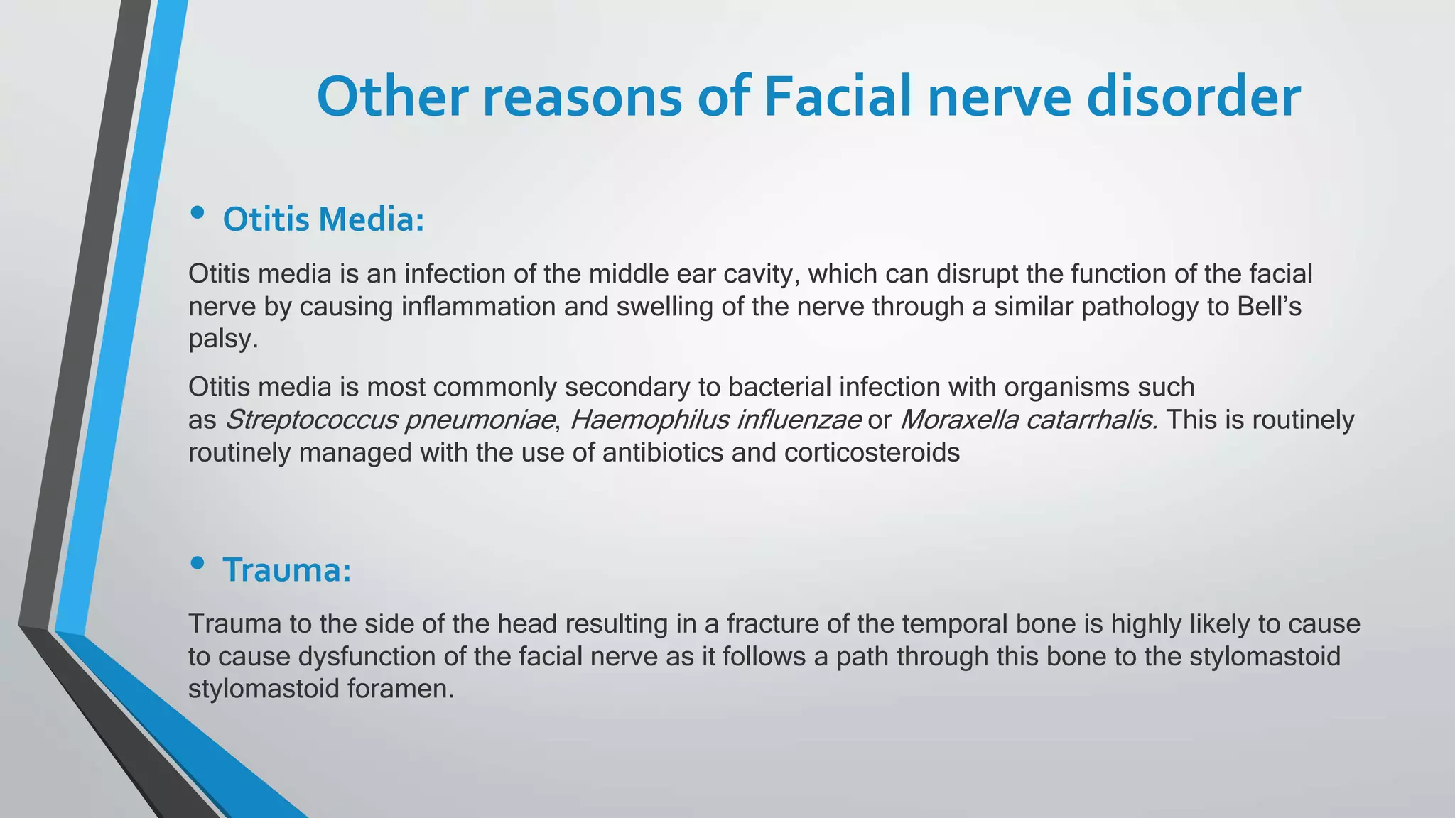 FACIAL NERVE.pptx