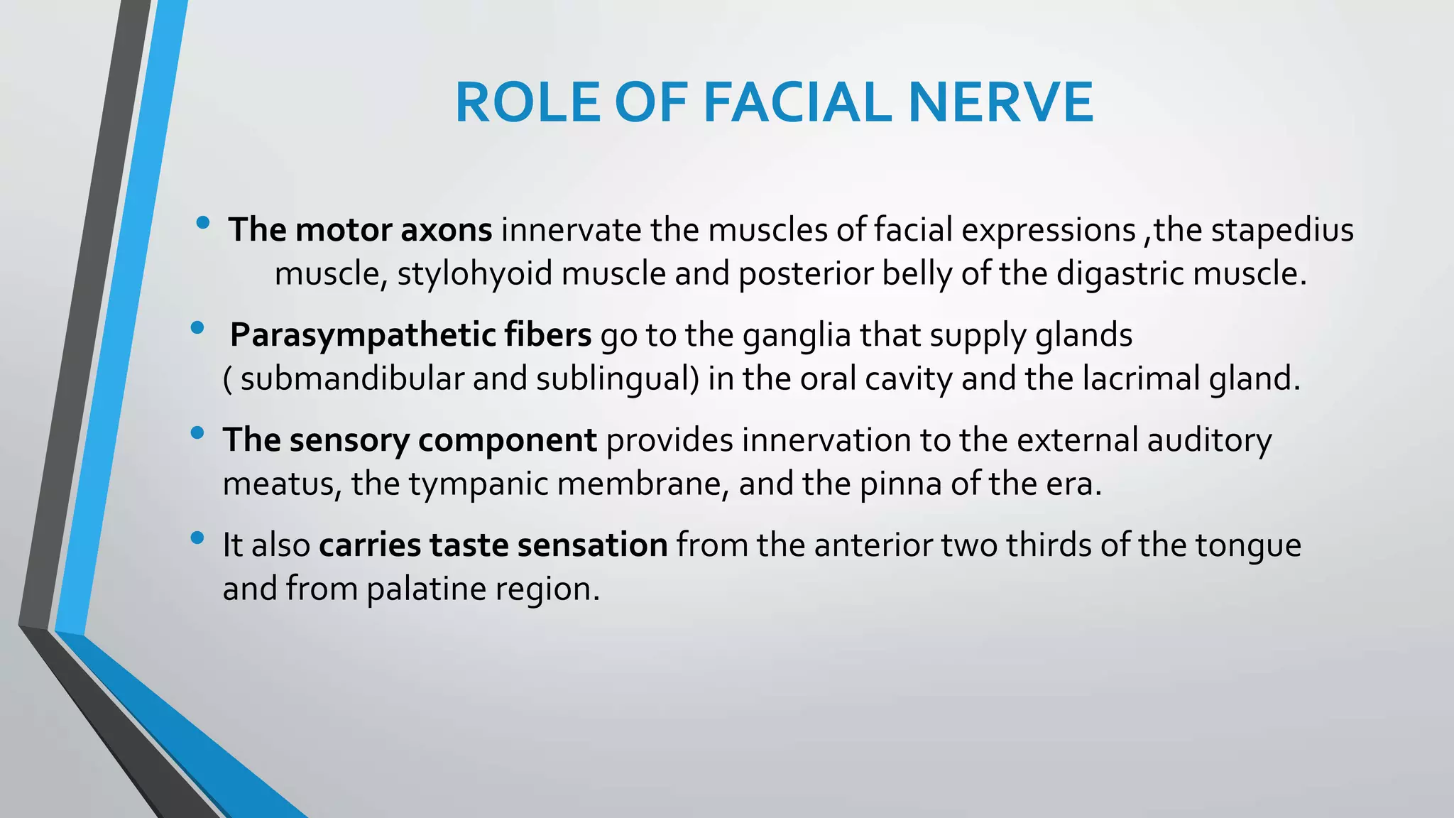 FACIAL NERVE.pptx