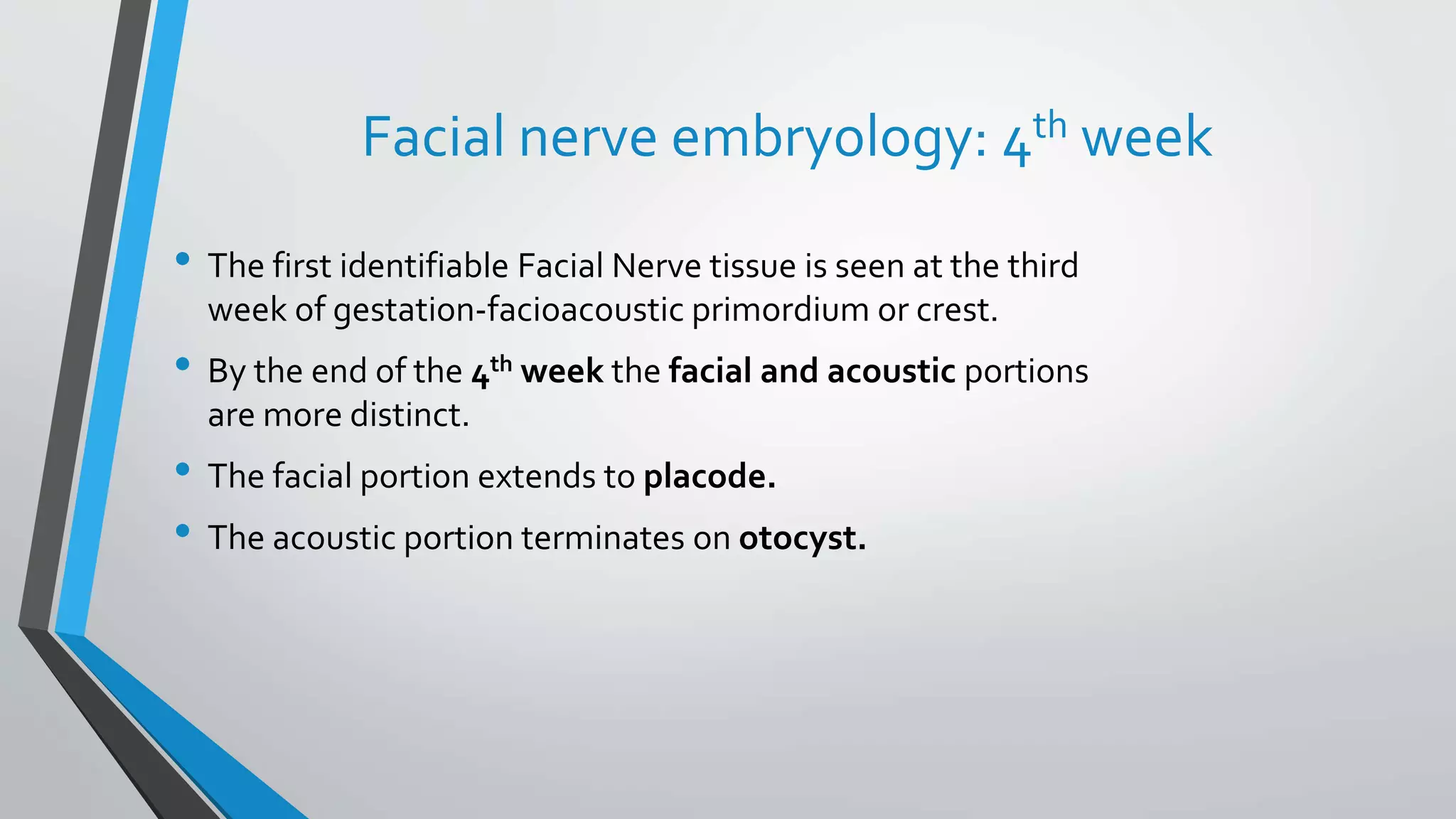 FACIAL NERVE.pptx