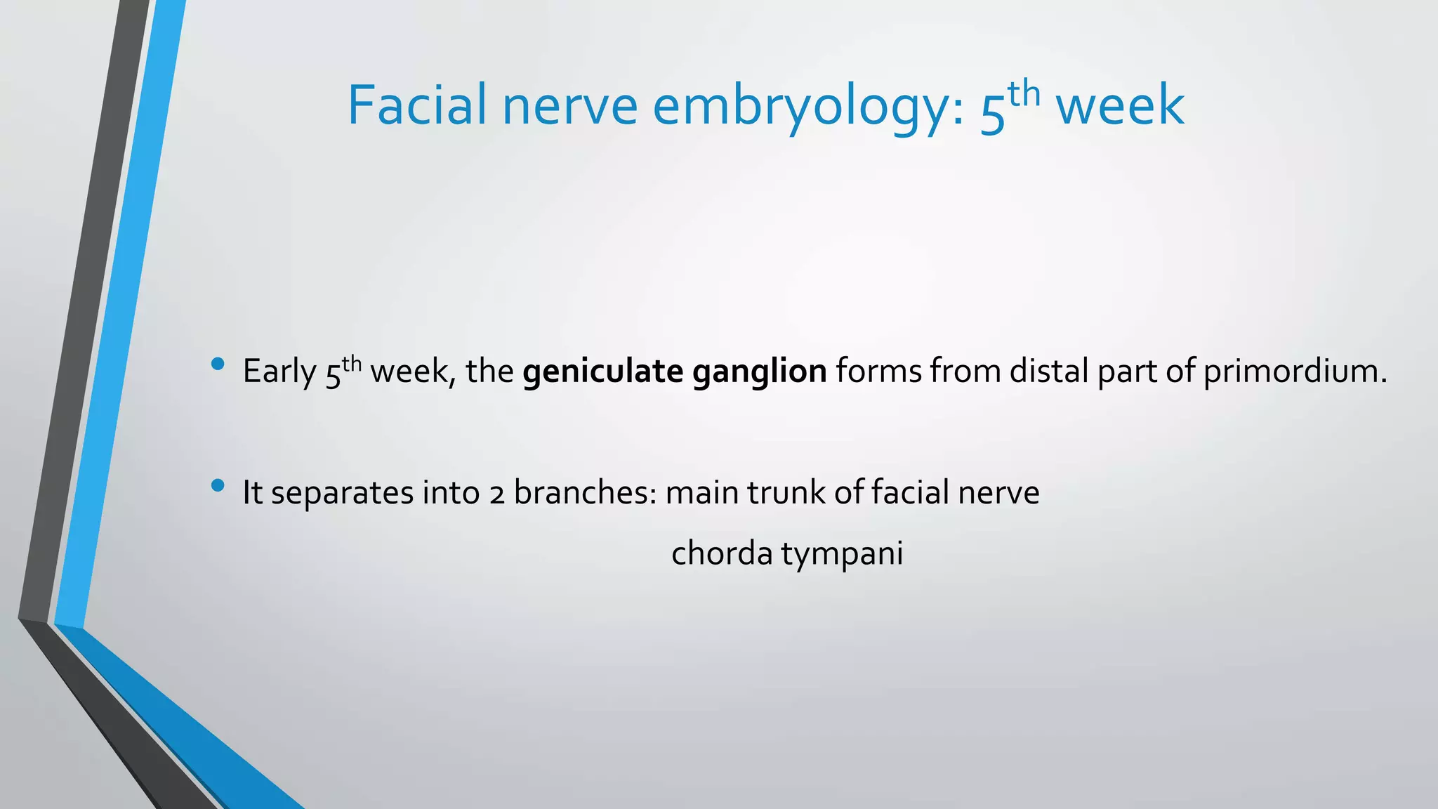 FACIAL NERVE.pptx