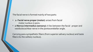 FACIAL NERVE.pptx