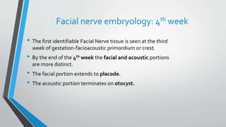 FACIAL NERVE.pptx