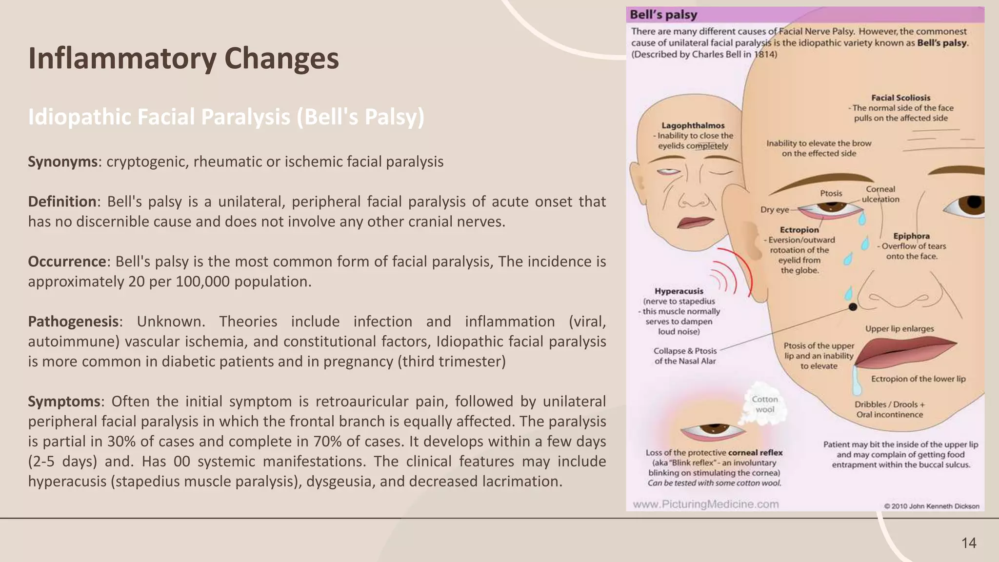 FACIAL NERVE.pptx