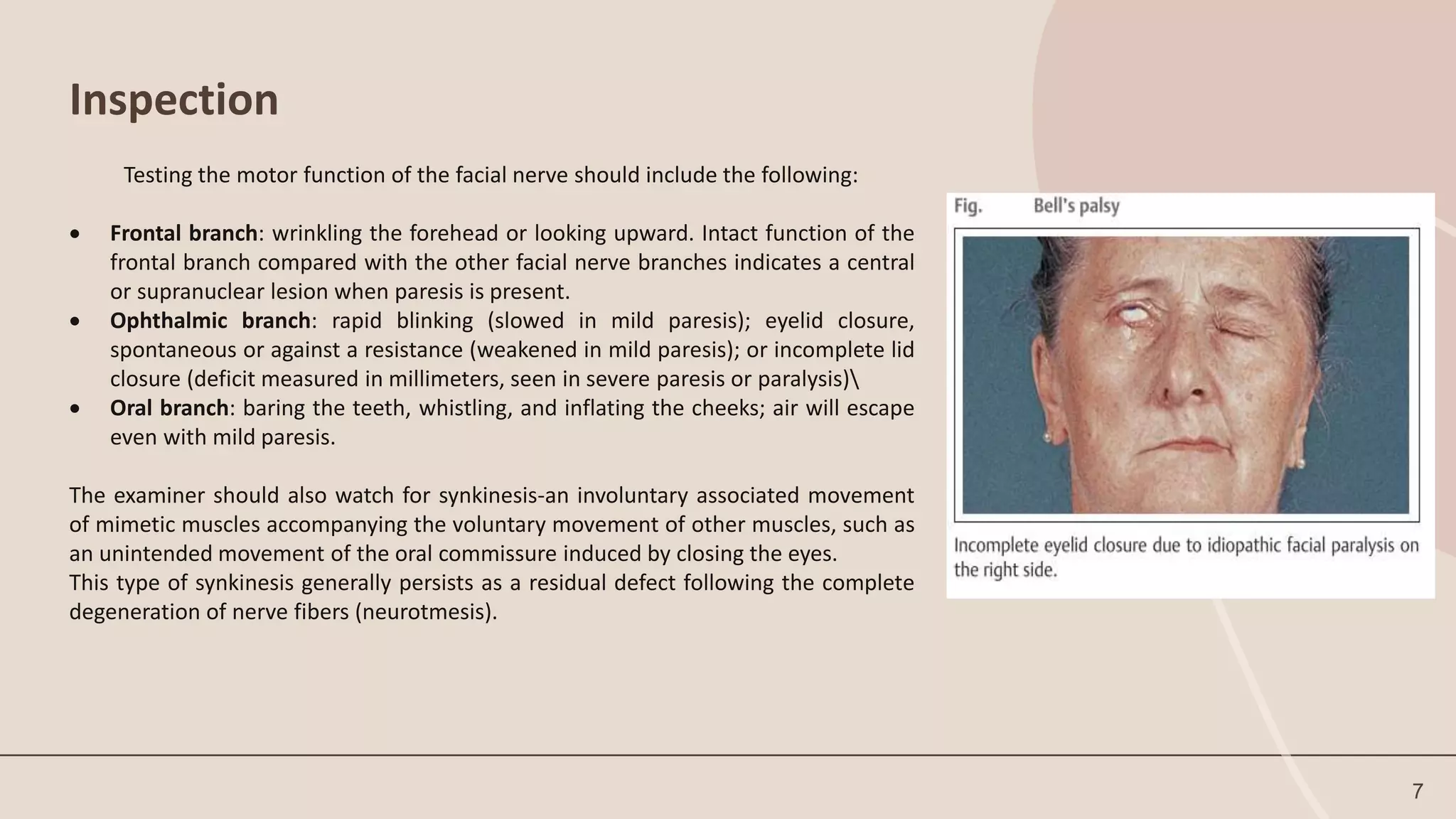 FACIAL NERVE.pptx