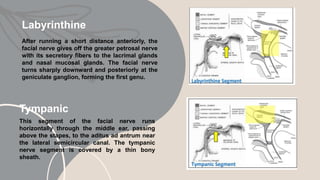 FACIAL NERVE.pptx