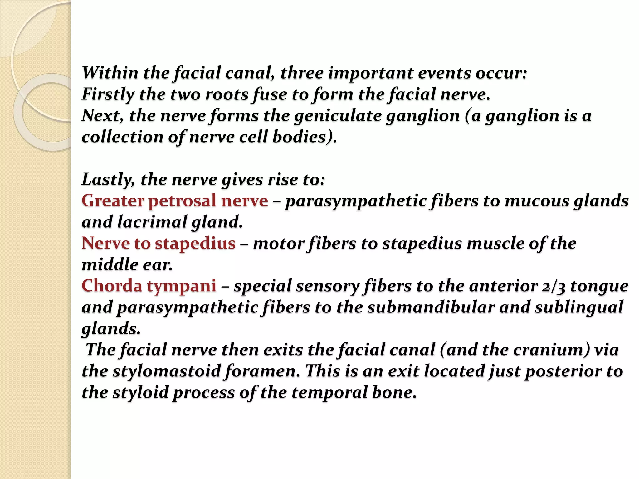 FACIAL NERVE.pptx