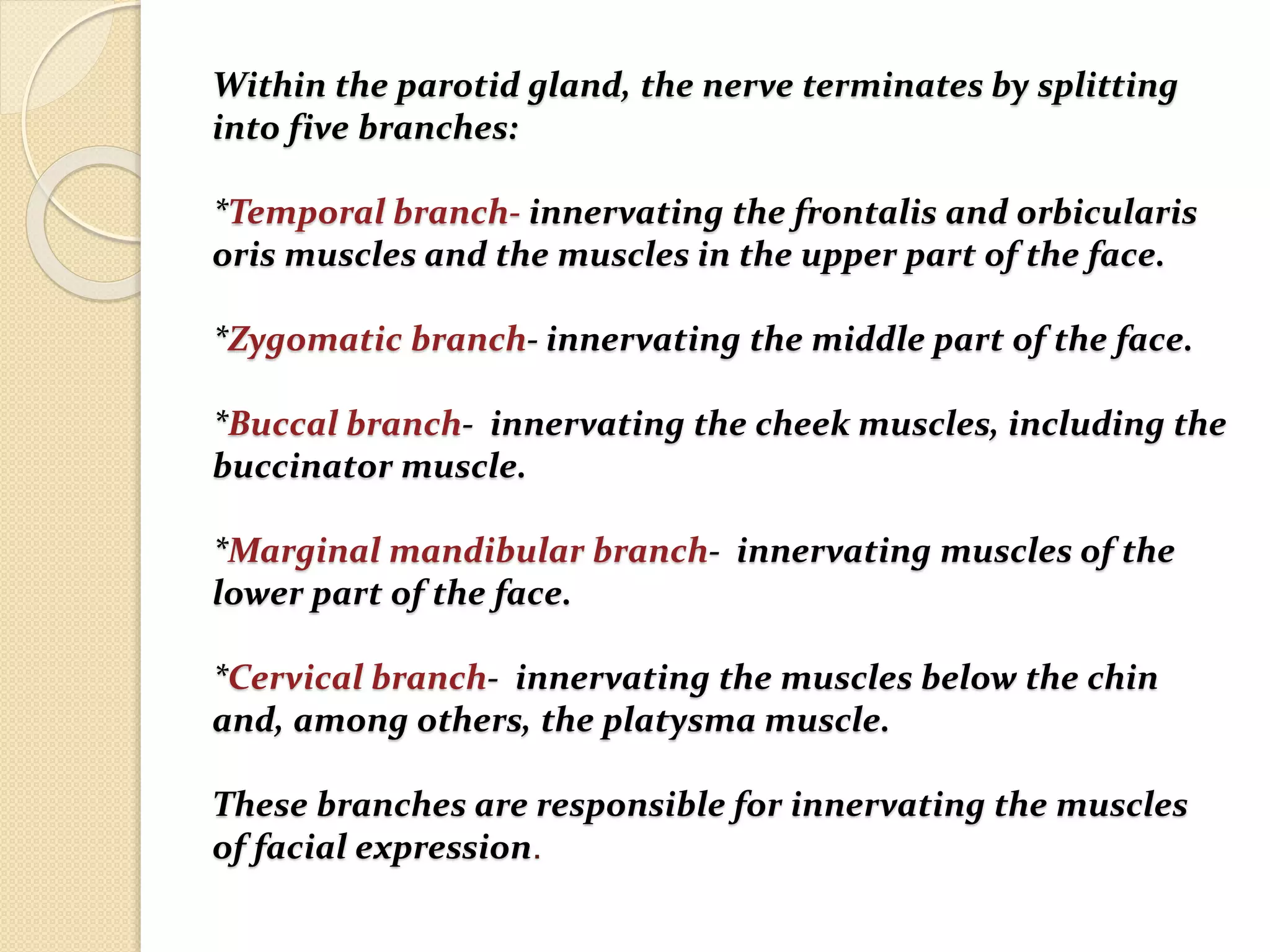 FACIAL NERVE.pptx