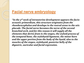 FACIAL NERVE.pptx