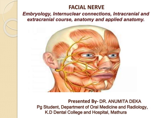 FACIAL NERVE.pptx